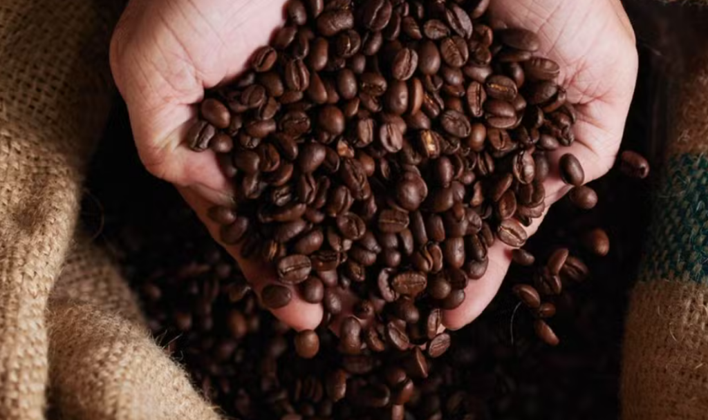 Dia do Café: sabor, história e a tradição que vão do campo à mesa